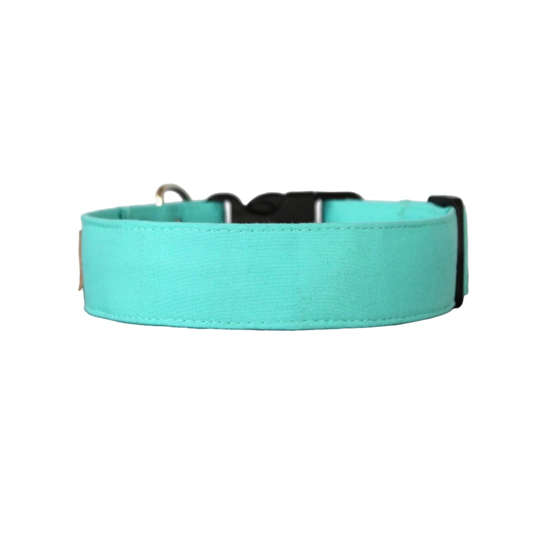 Solid Mint Dog Collar - Classic Dog Collars - Available in 15 Sizes - Etsy