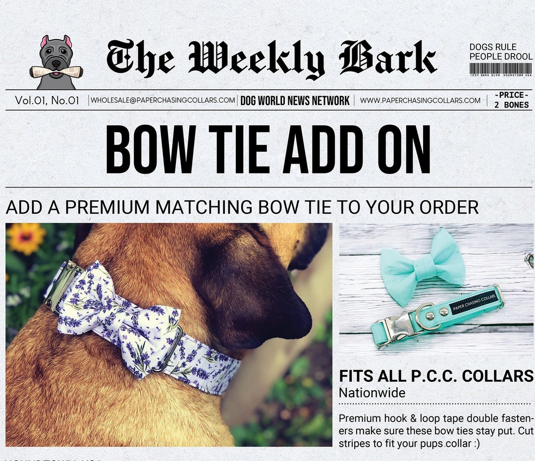 Matching Bow Tie Add on for Paper Chasing Collars - Etsy