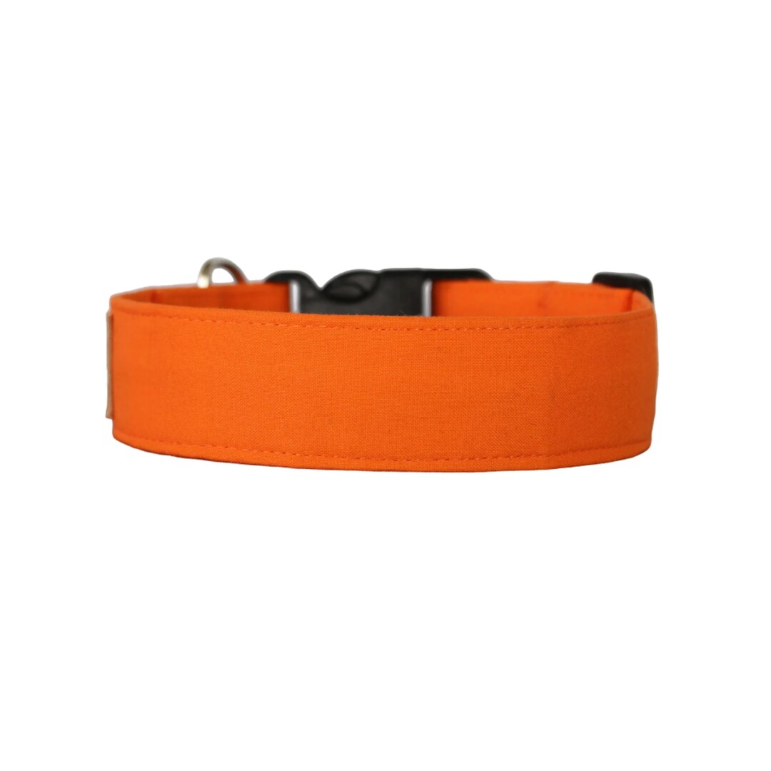 Orange Dog Collar Available in 15 Sizes XS Through XL - Etsy
