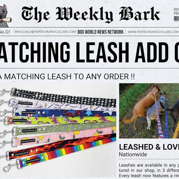 Leather Dog Leash - Etsy