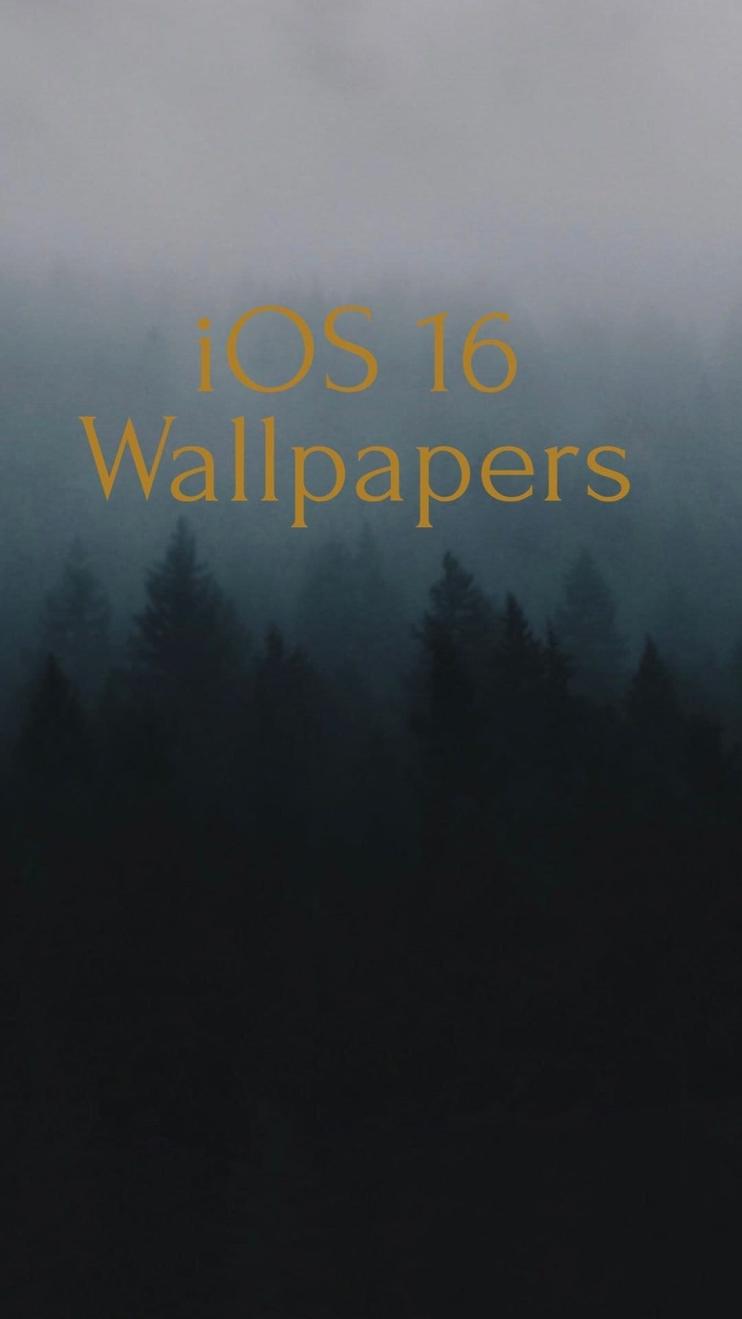 Pack of 5 PNW Ios 16 Wallpapers, Nature Aesthetic, Fall, Pacific ...