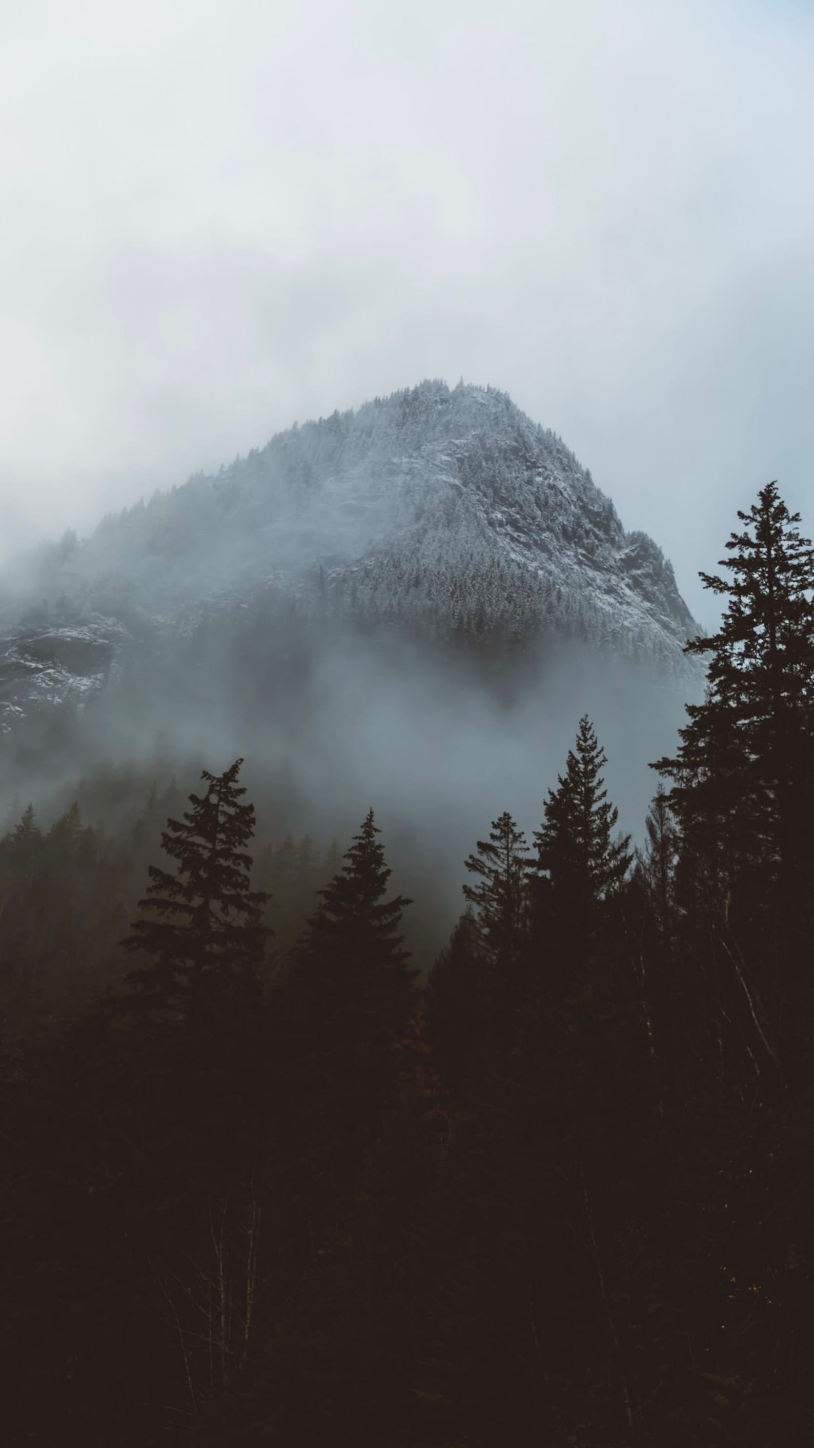 Pack of 5 PNW Ios 16 Wallpapers, Nature Aesthetic, Fall, Pacific ...