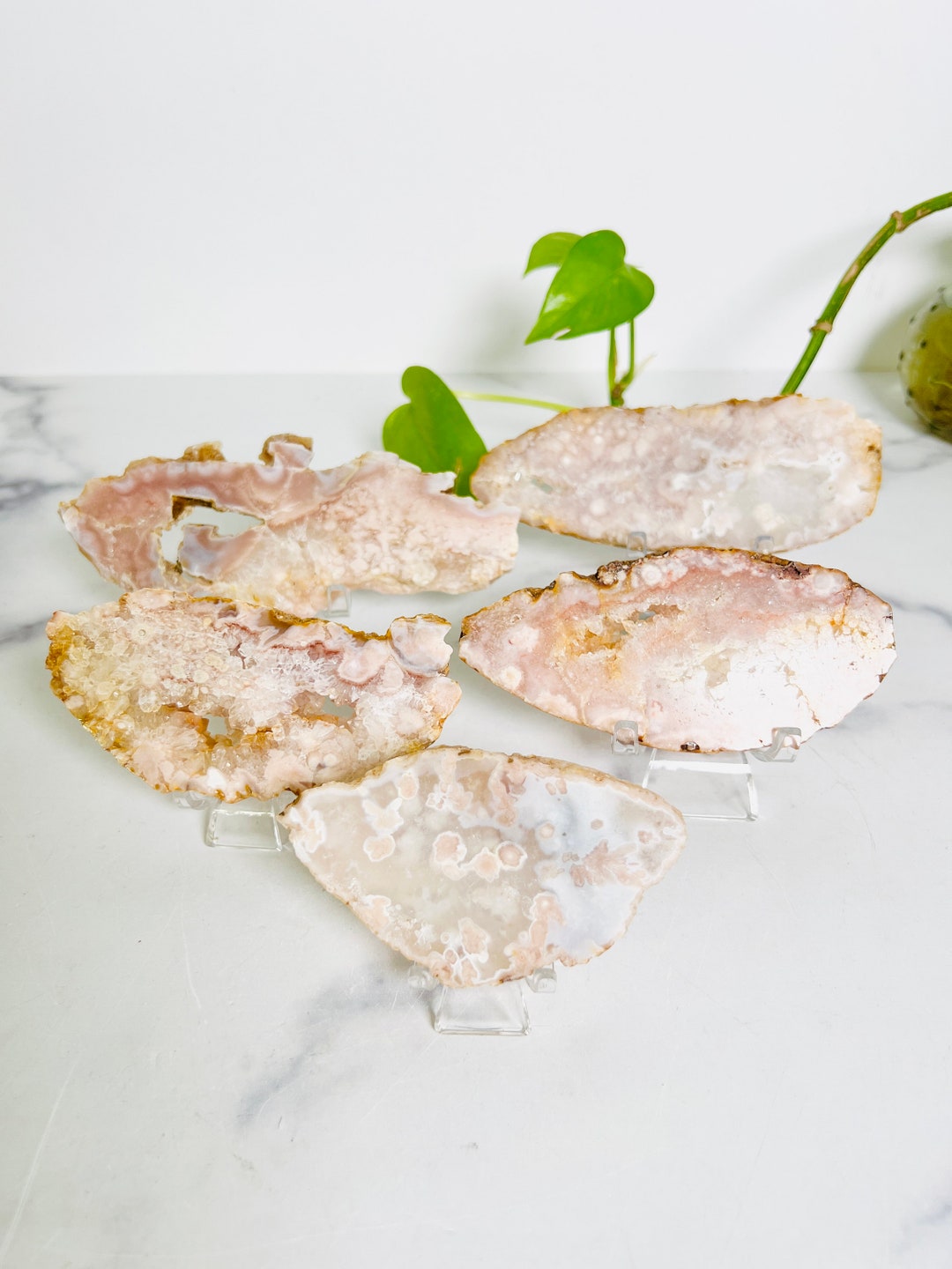 Flower Agate Slab - Etsy 日本