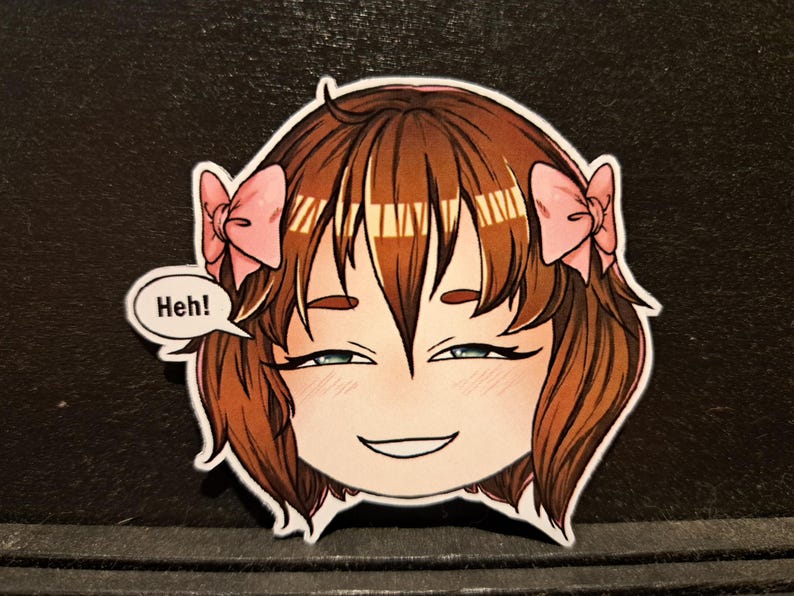 Smug Girl Vinyl Sticker - Waterproof Sticker for Water Bottle/stanley ...