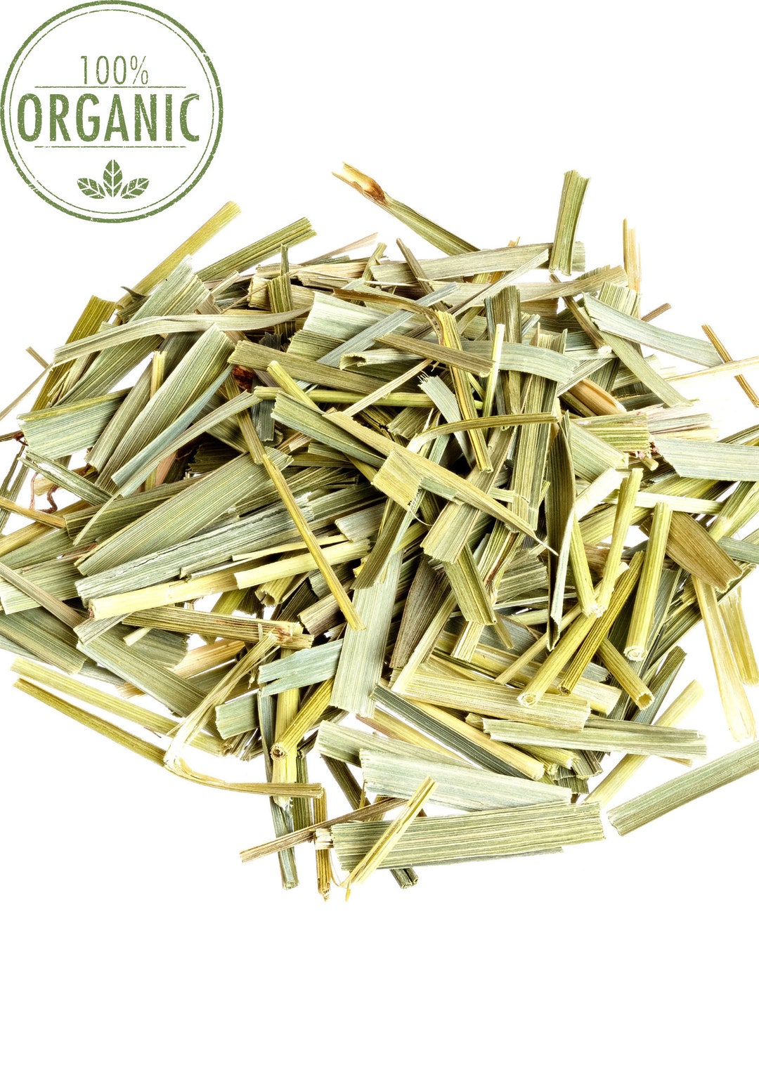 Horsetail Herb shavegrass Mu Zei Equisetum Arvense - Etsy