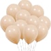 Halloween Balloons Set - Assorted Spooky Balloons for Hauntingly Fun ...