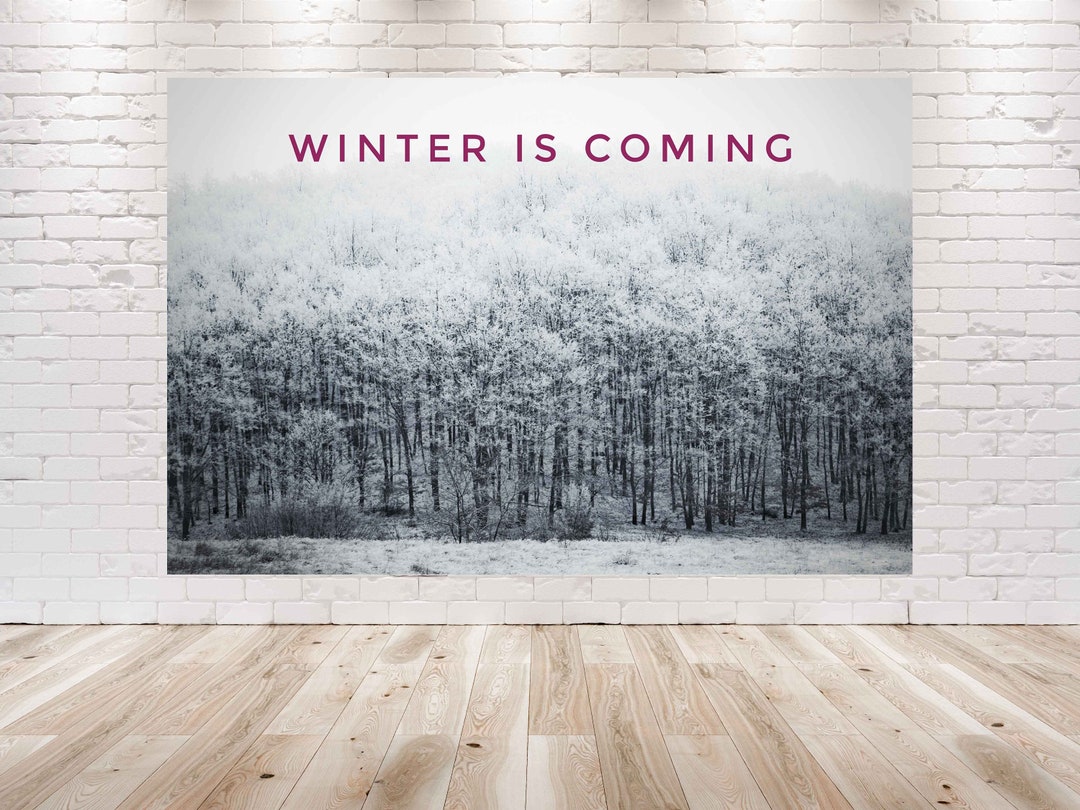 7X5FT Winter is Coming Birthday Party Decorations Backdrop | Theme ...