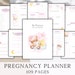 Pregnancy Planner Printable Pregnancy Journal, Bump to Baby Tracker ...