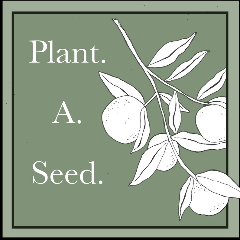 Plant A Seed! PNG & GIF - Etsy