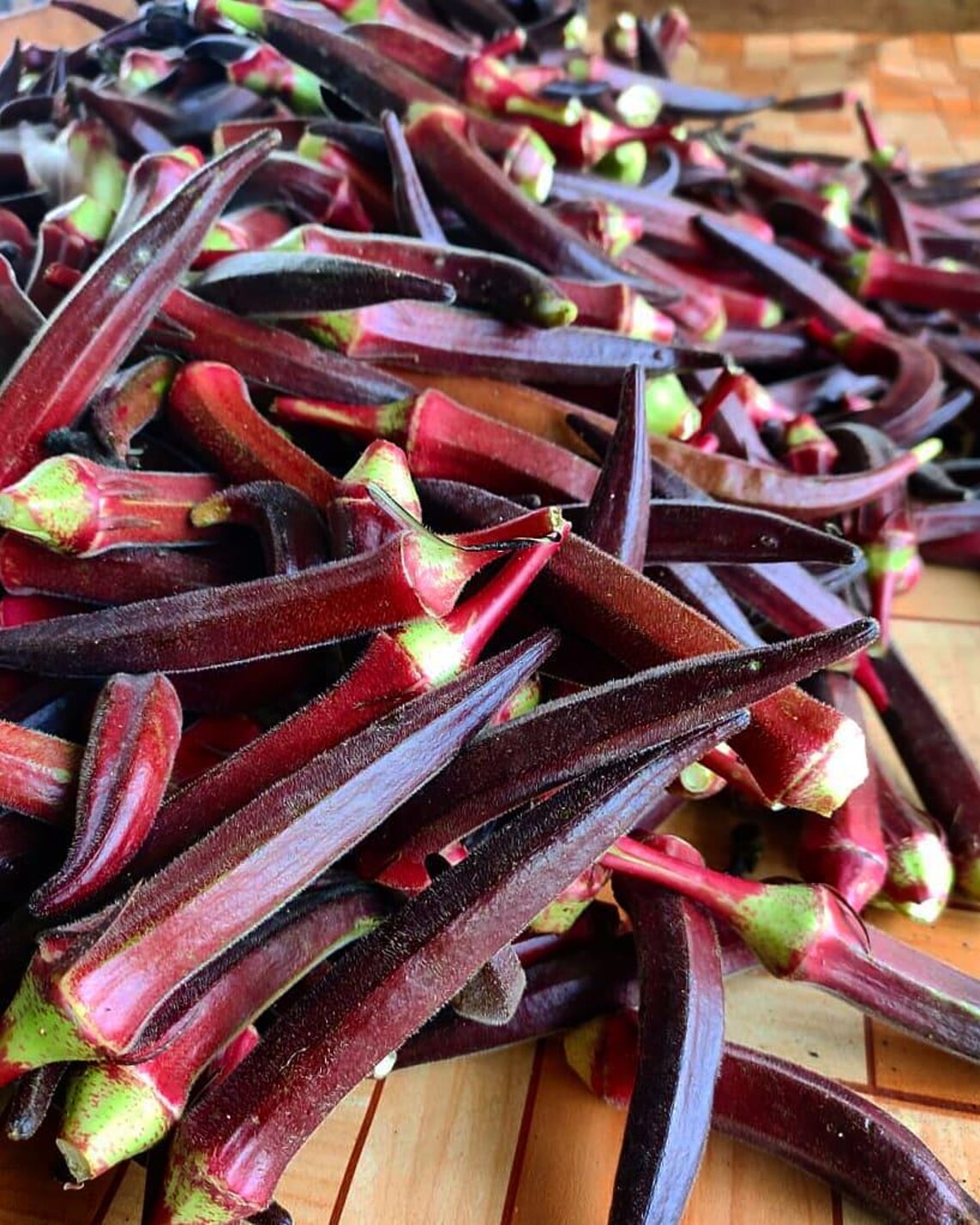 Heirloom Red Okra Seeds!! - Homegrown - Red Burgundy Variety - Etsy
