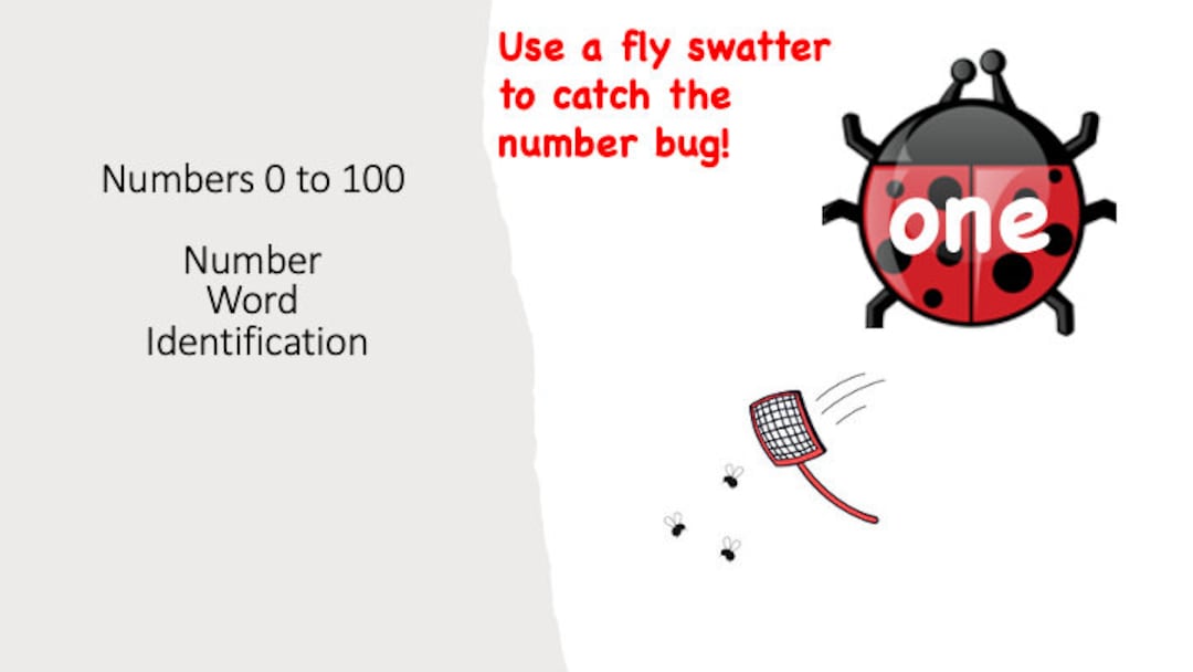 Ladybug Number Word Smash 0 to 100 - Etsy