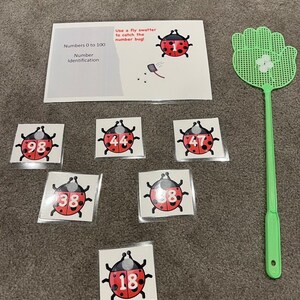 Ladybug Number Smash 0 to 100 - Etsy