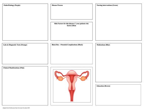 Female Reproductive Color Coded Concept Map - Etsy