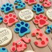 Blues Clues Birthday Cookies - Etsy