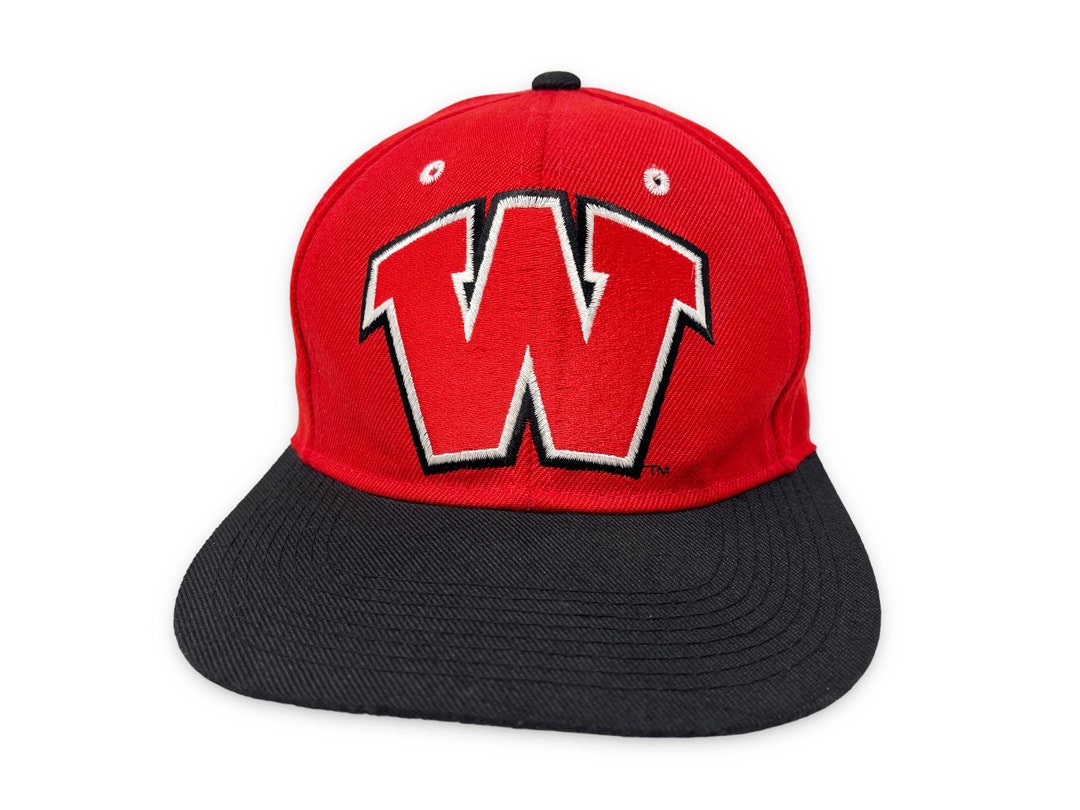 Vintage Wisconsin Badgers Hat 90s Fitted Cap NCAA Football Size 6 7/8 ...