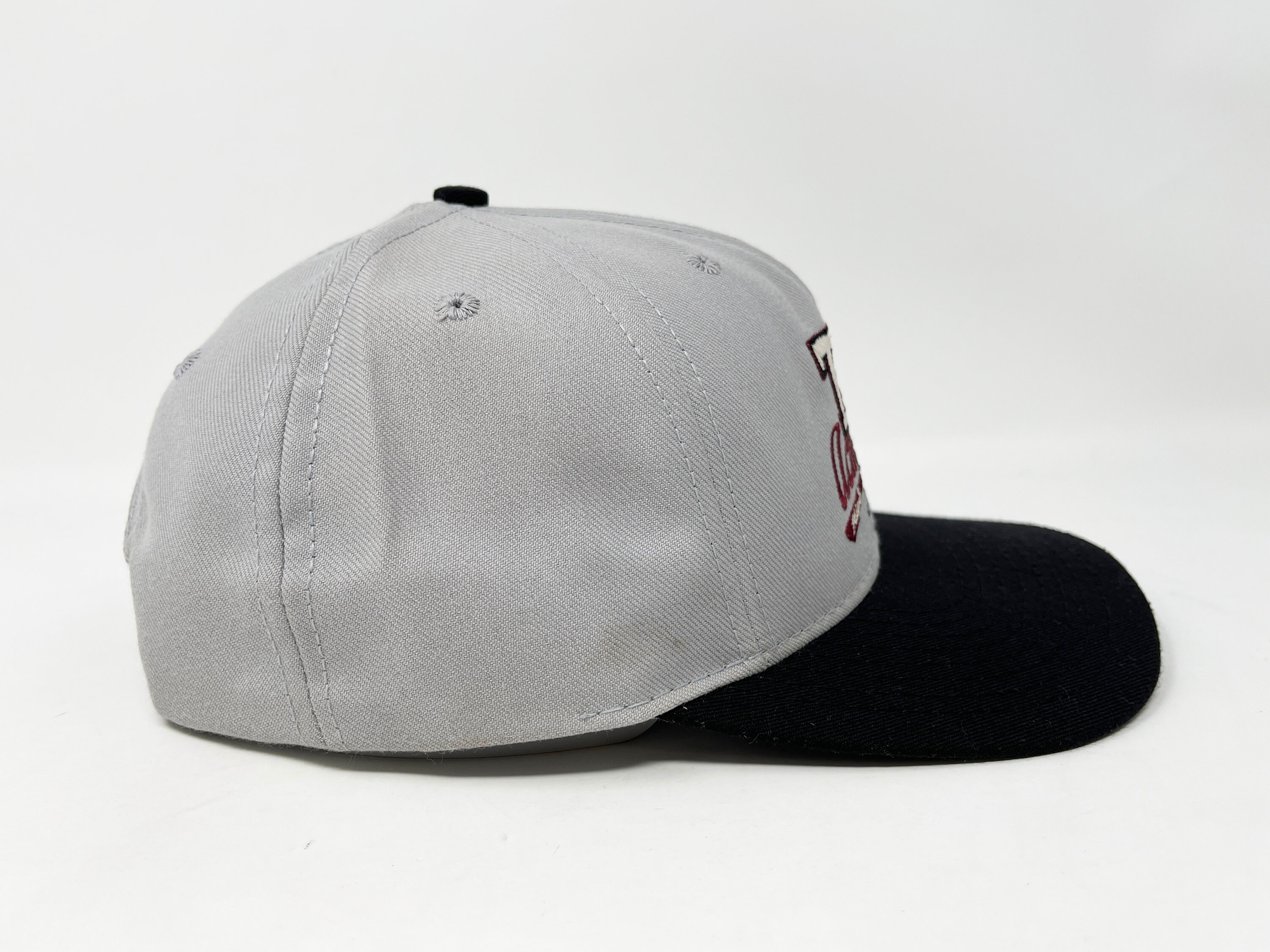 Vintage Taz Hat 90s Snapback Cap Looney Tunes Acme High H06 - Etsy