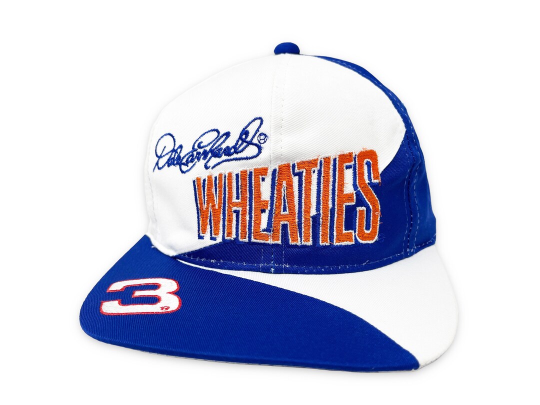 Vintage Dale Earnhardt Hat 90s Wheaties NASCAR Snapback Cap H07 - Etsy