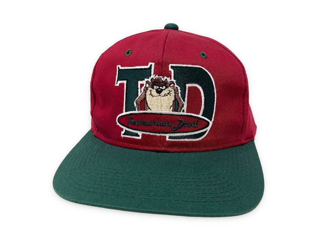 Vintage Taz Hat 90s Snapback Cap Looney Tunes H06 - Etsy