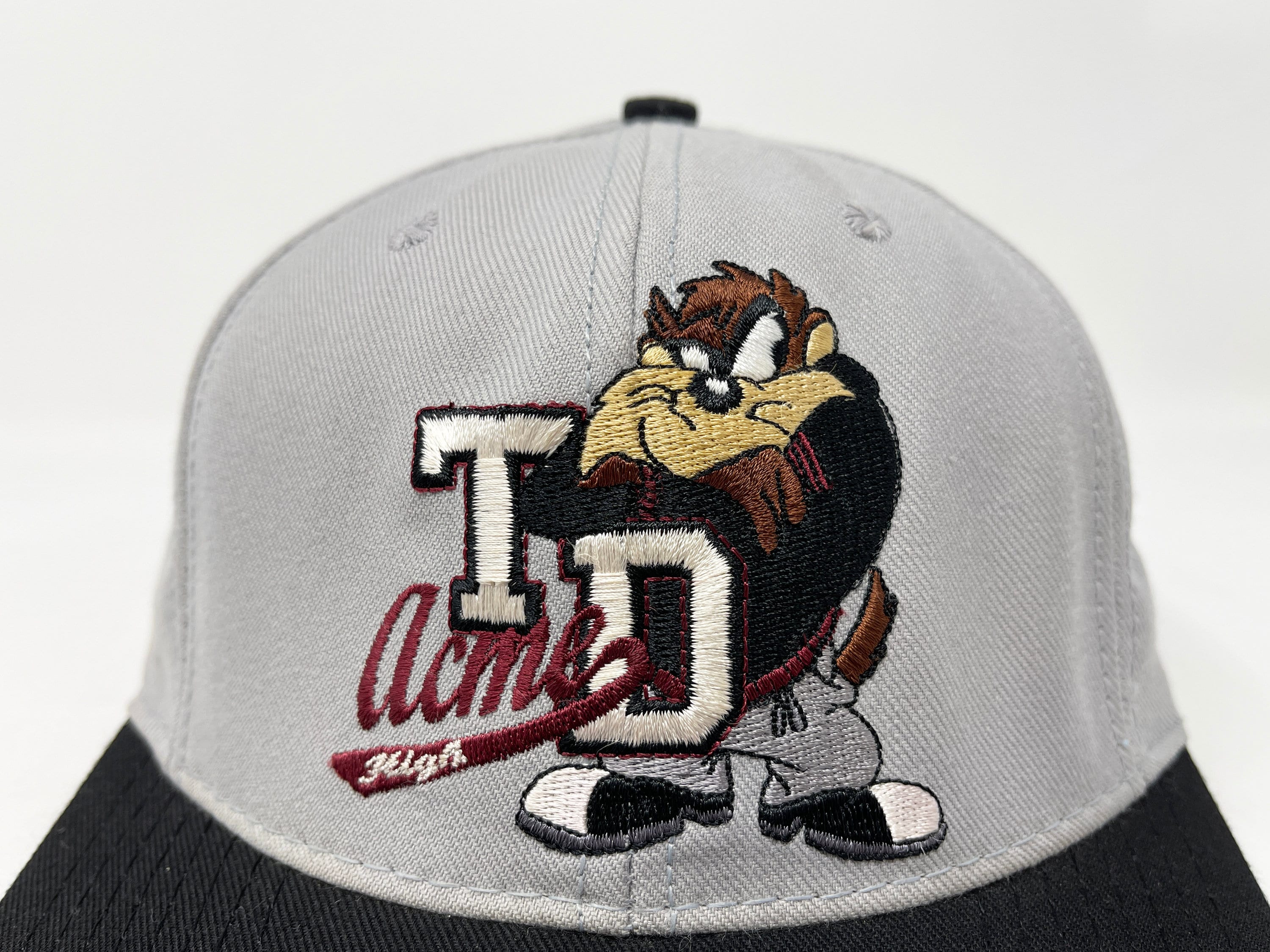 Vintage Taz Hat 90s Snapback Cap Looney Tunes Acme High H06 - Etsy