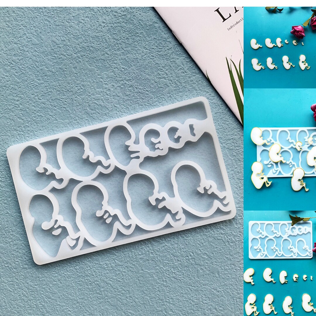 Fetus Resin Mold Baby Gestation Mold Sfoetus Stages Silicone Mold ...