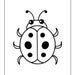 2000 Coloring Pages for Kids to Create Coloring Books - Etsy