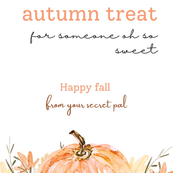 Secret Pal Gift - 60+ Gift Ideas for 2025