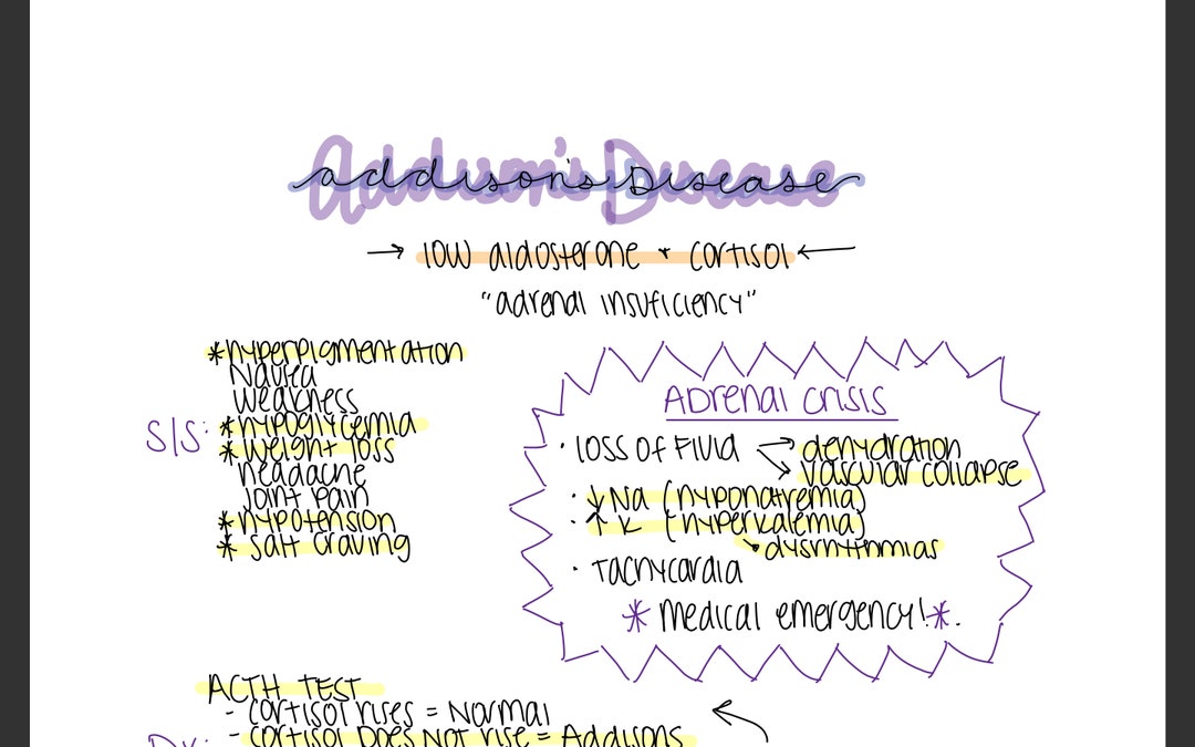 Addison's Disease Nursing Study Sheet - Etsy