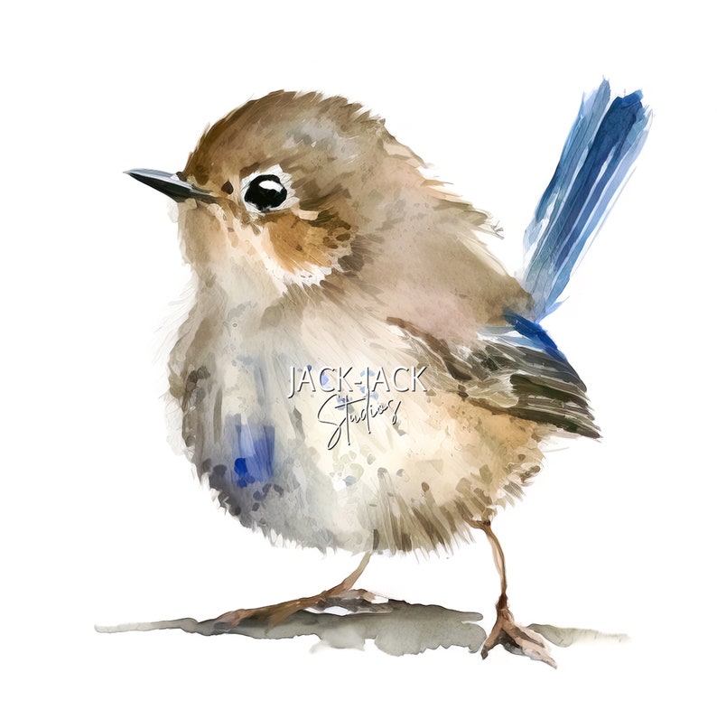 Cute Baby Bird Nursery Art, Set of 3, Watercolor Birds - Nursery Decor ...