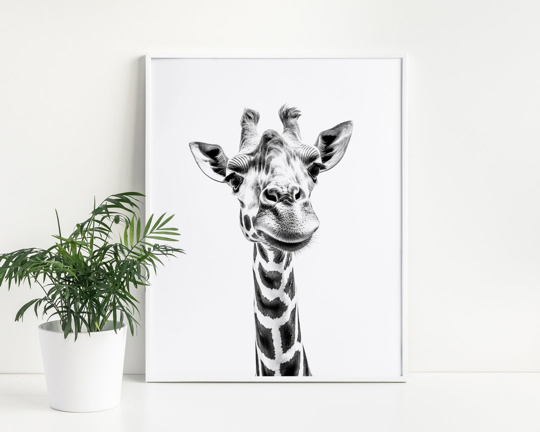 Giraffe Print, Giraffe Portrait, Black and White Digital Download ...