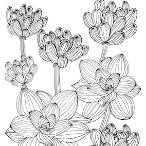 Zen Flower Colouring Pages - Etsy