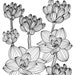 Zen Flower Colouring Pages - Etsy