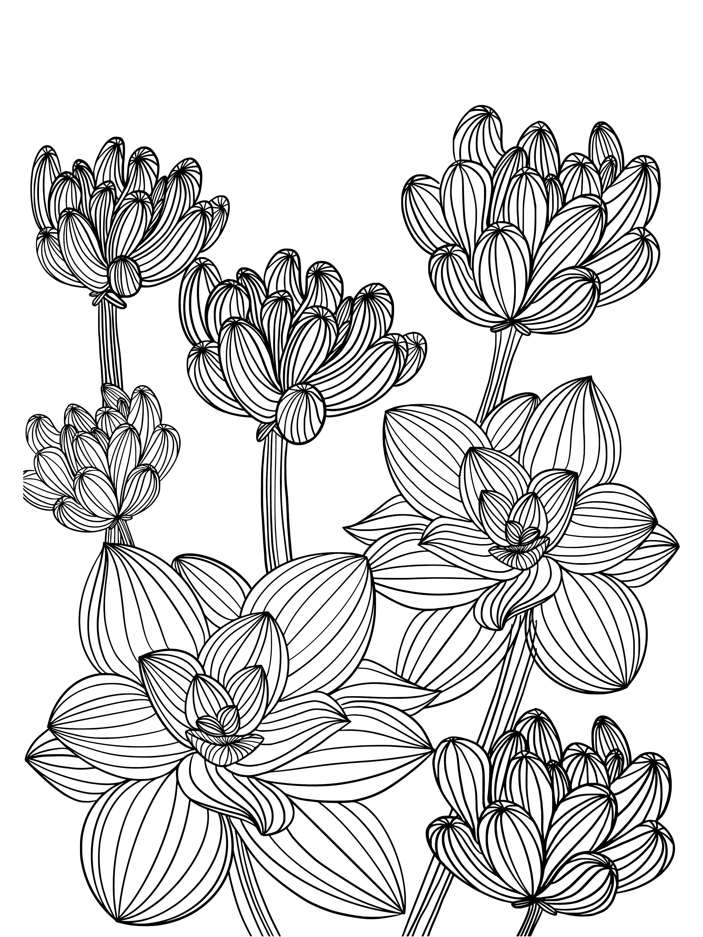 Zen Flower Colouring Pages - Etsy