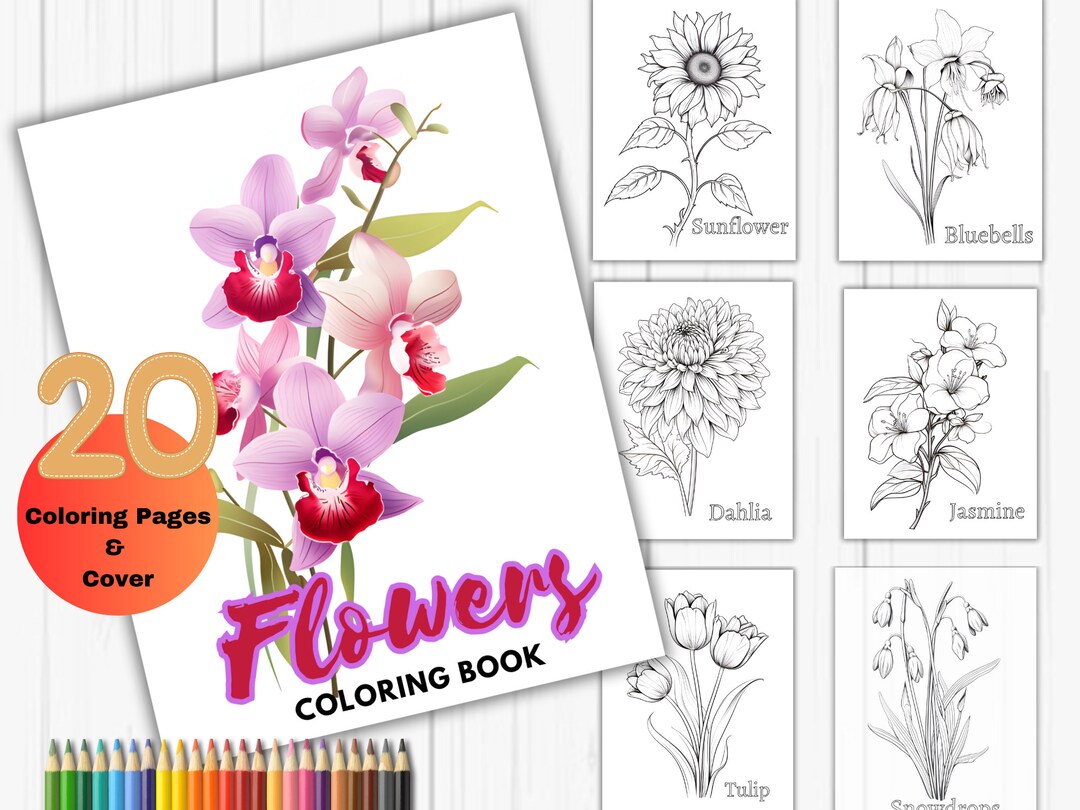 Simple Flower Coloring Pages for Adults, Flower Easy to Color Pages ...