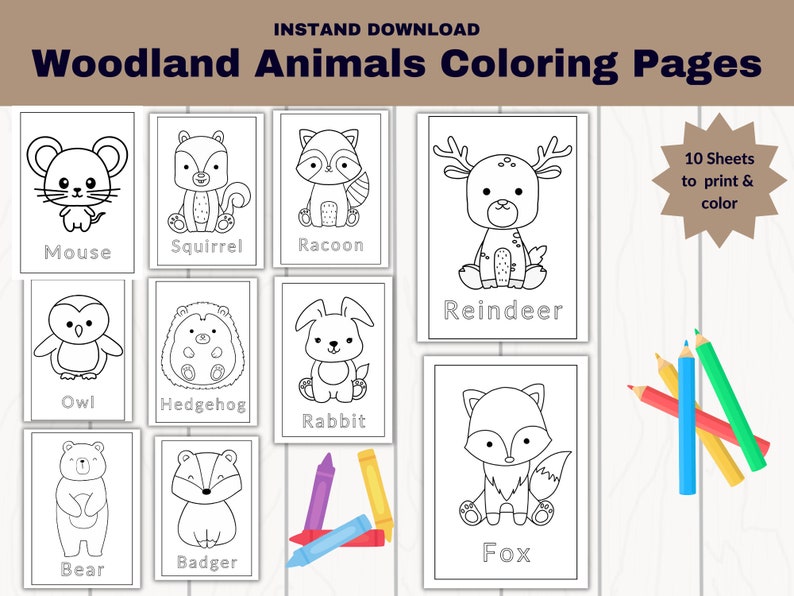 Preschool Woodland Animal Printable, Baby Animals Coloring, Toddler ...