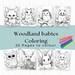 Woodland Animal Coloring Book Forest Animal Coloring Page - Etsy