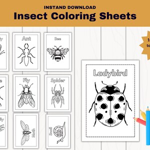 Printable Insect Worksheet, 10 Insect Coloring Pages for Toddlers ...