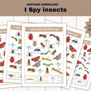 Insect I Spy Game, Preschool Printable Insect Study, Insect ...