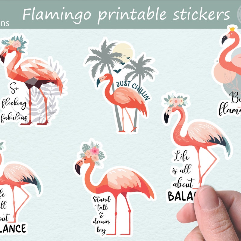 Flamingo Stickers - Etsy