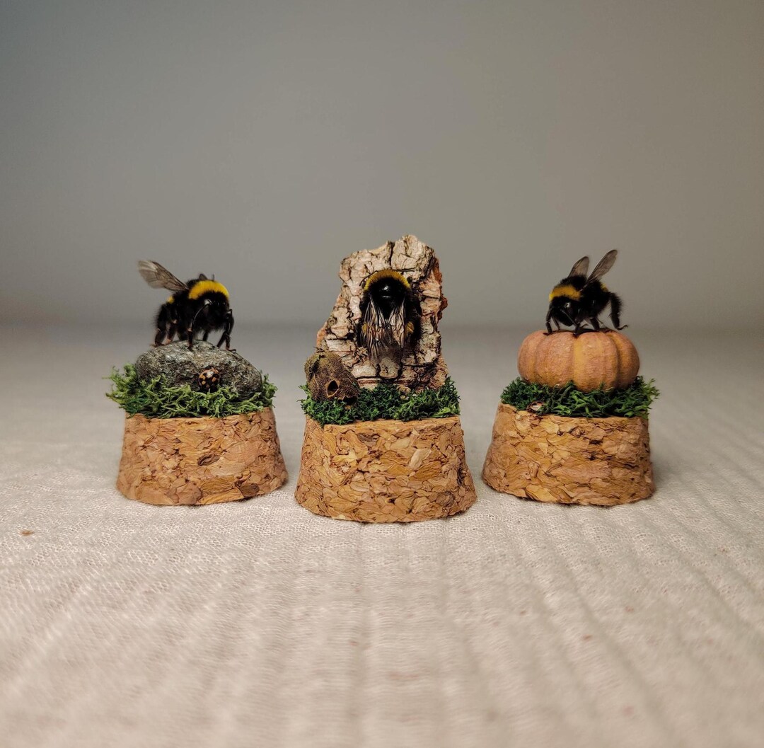 Autumn Theme Bumblebee Mini Domes for Spooky Season - Etsy
