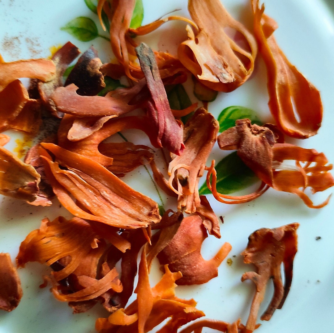 Whole Mace Spice (javitri): Fresh, Aromatic Indian Cooking Spice - Etsy