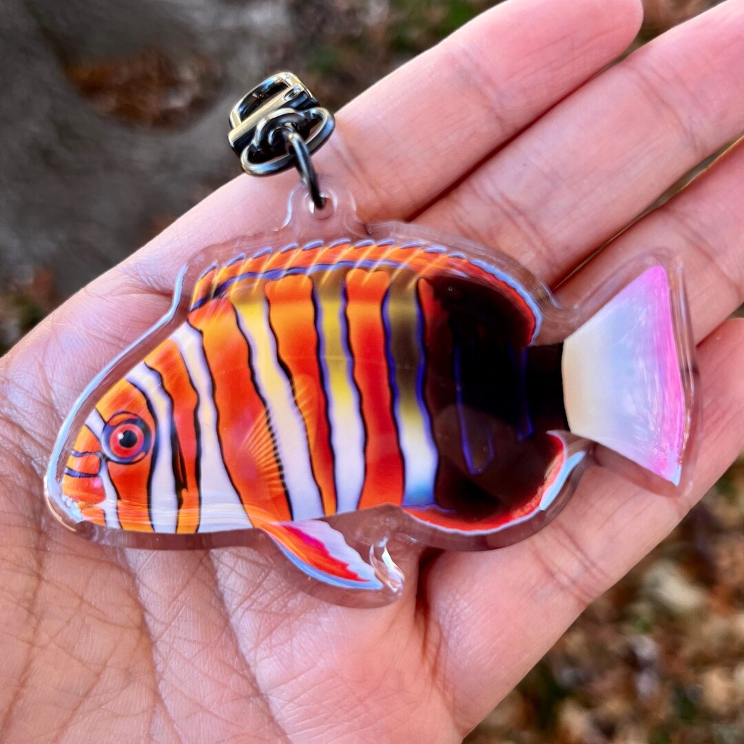 Harlequin Tusk Keychain Charm/ Saltwater Aquarium Reef Fish Art Decor ...