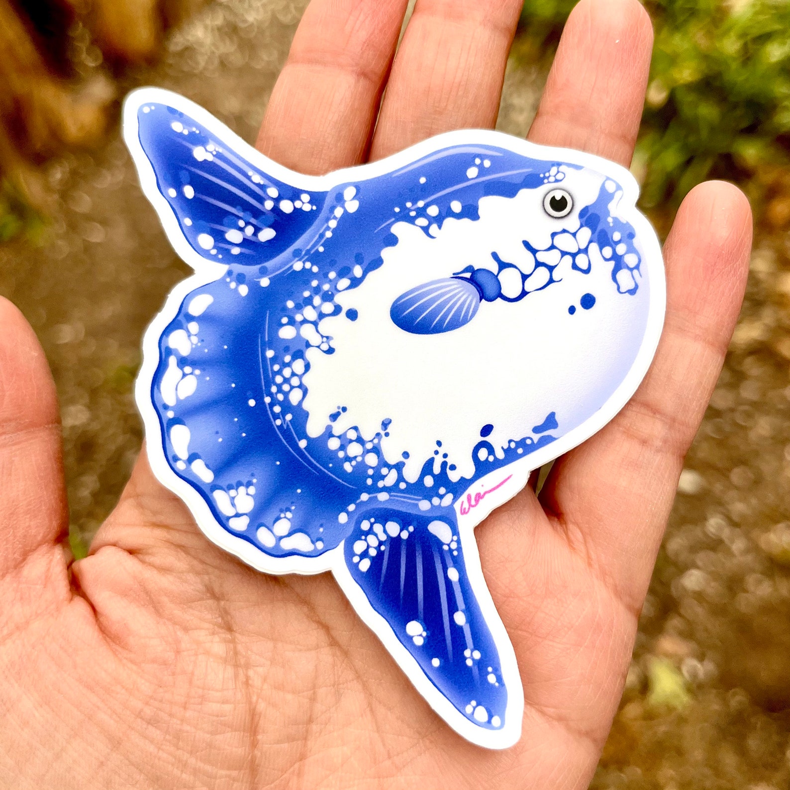 4” Mola Mola Sunfish Marine Fish Sticker/ Coral, Reef and Sea Animal ...