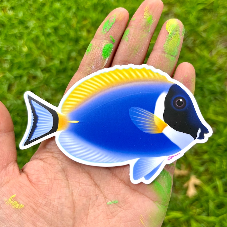 4” Powder Blue Tang Saltwater Reef Fish Sticker/ Coral, Reef and Sea ...