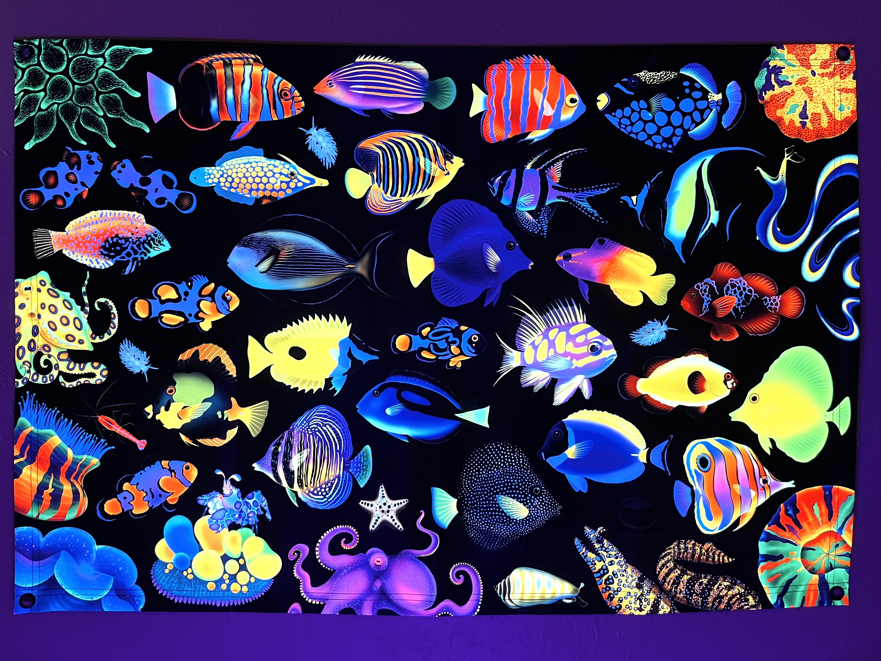36x24” Reef Fish UV Blacklight Reactive Tapestry/ Reef Art/ Aquarium ...