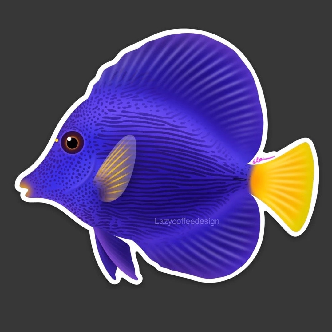 Purple Tang Fish