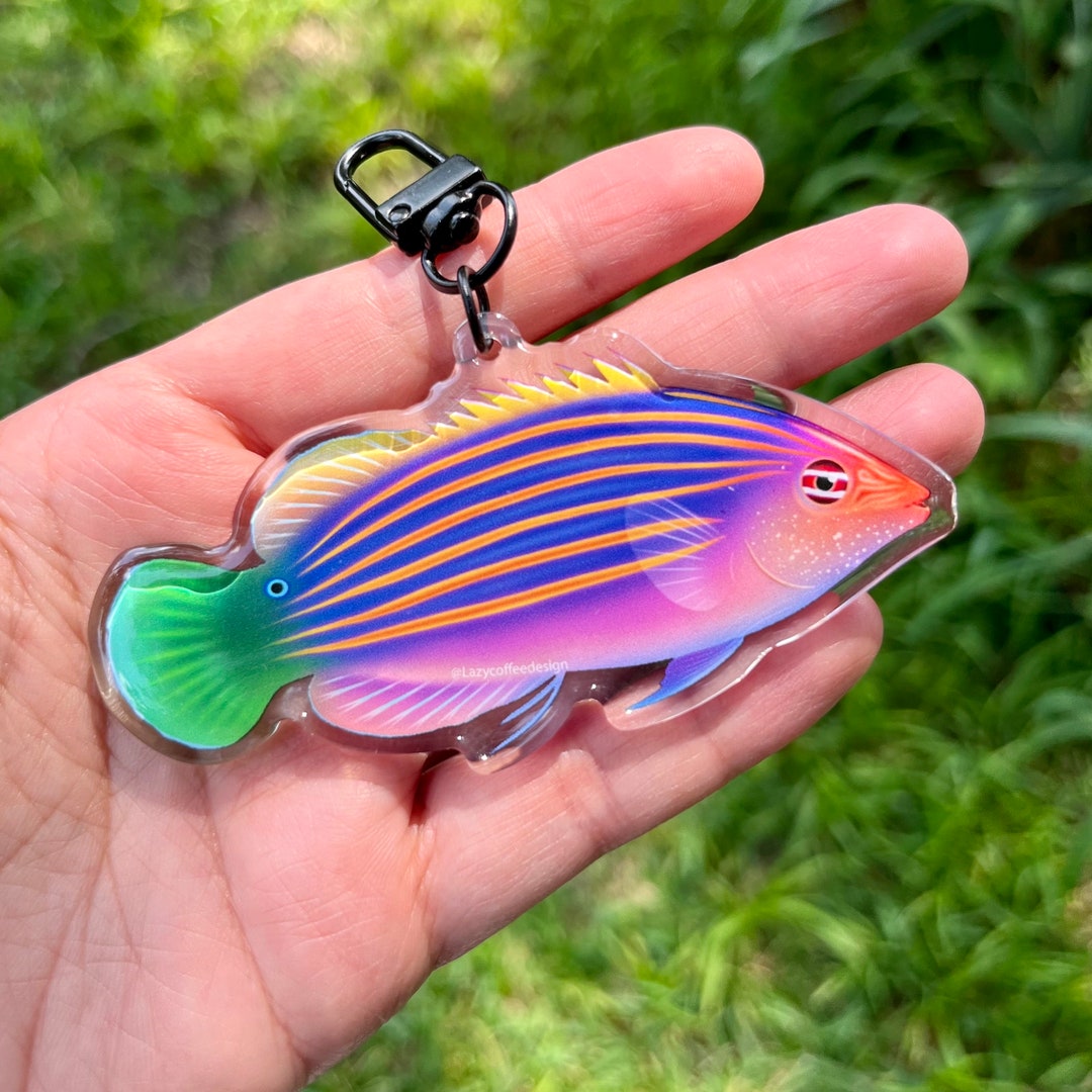 Six Line Wrasse Keychain Charm/ Saltwater Aquarium Reef Fish Art Decor ...