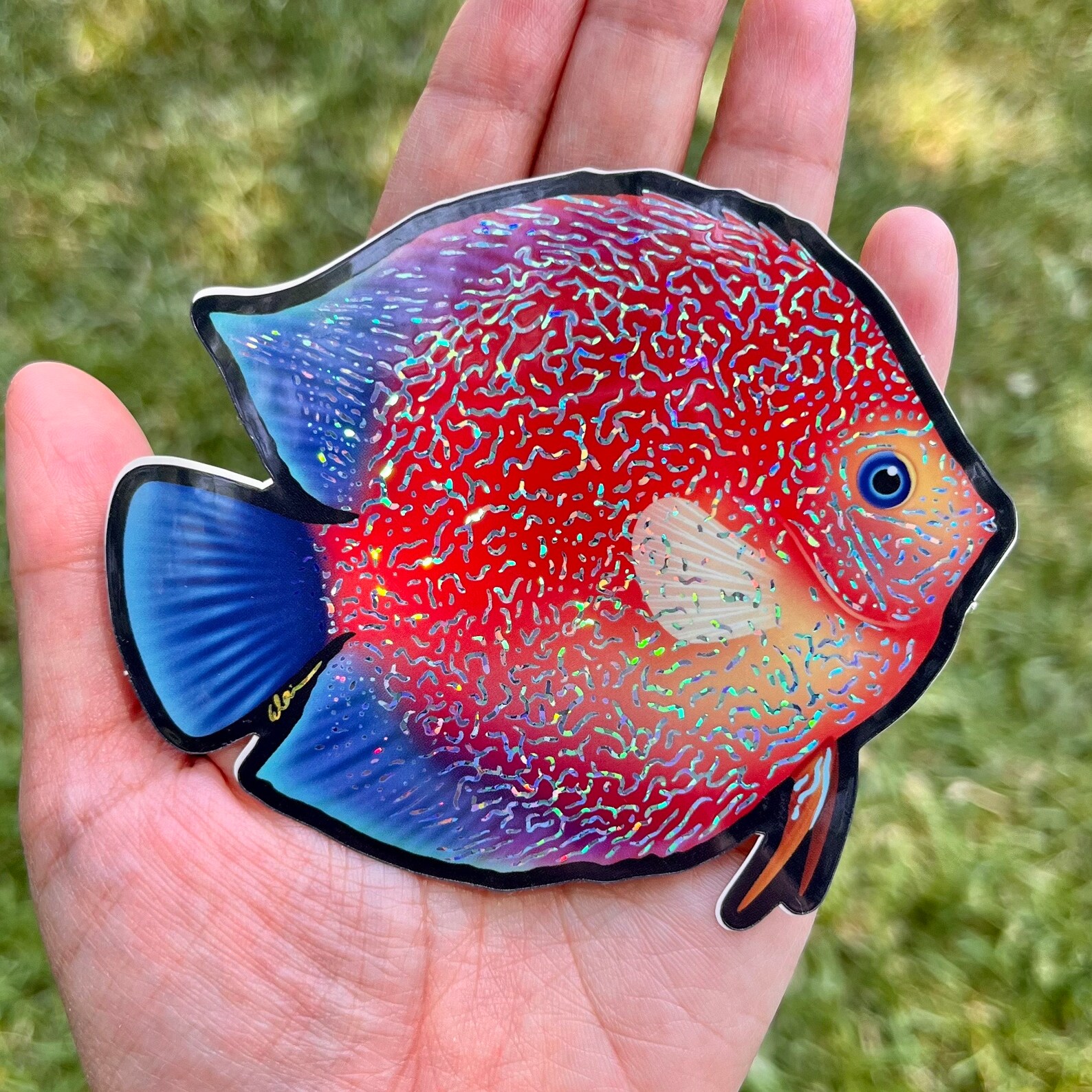 4” Discus Fish Freshwater Fish Sticker for Water Bottle and Laptop - Etsy