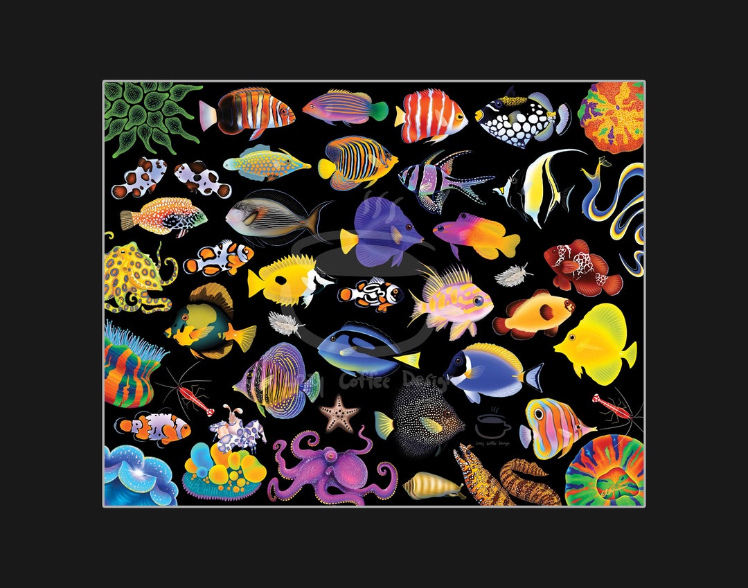 Coral Reef Fish Art Print / Saltwater Reef Fish Aquarium Art - Etsy