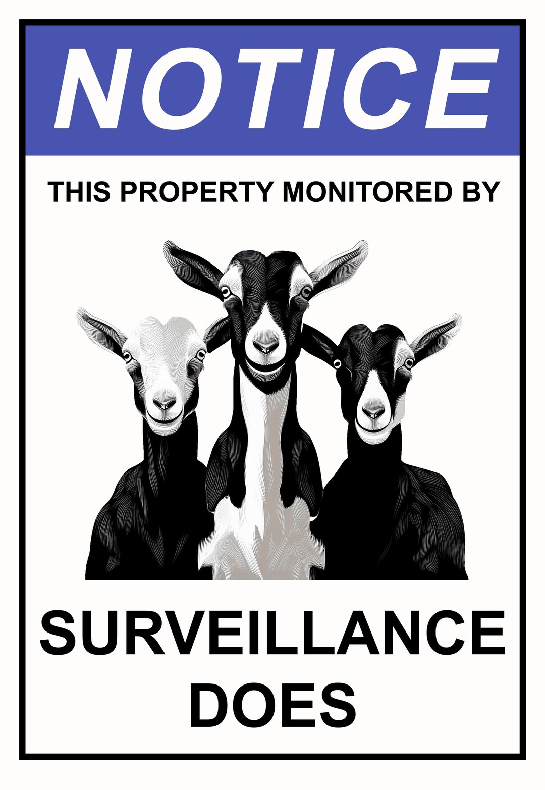 Surveillance Does, Aluminum Composite, Funny Sign for Goat Owners ...
