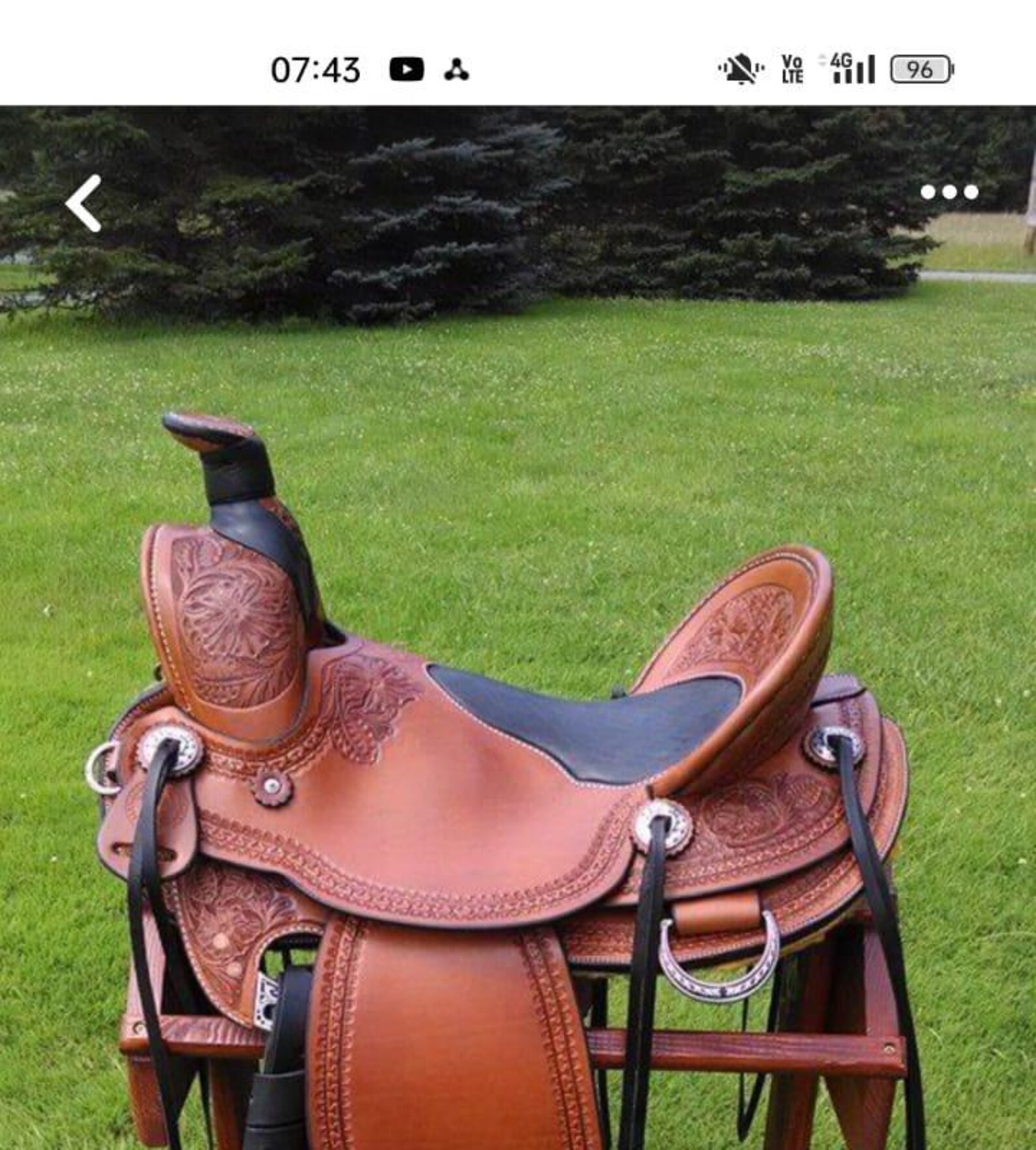 Western Roper Saddle Hot Seat Big Horn Horse Saddle ,chestnut and Black ...